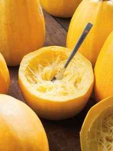 Ako spoznať druhy jedlých tekvíc? | Ako a Prečo?